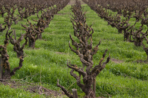 Fresh Off the Press – Not-So-Sober Sobriquets